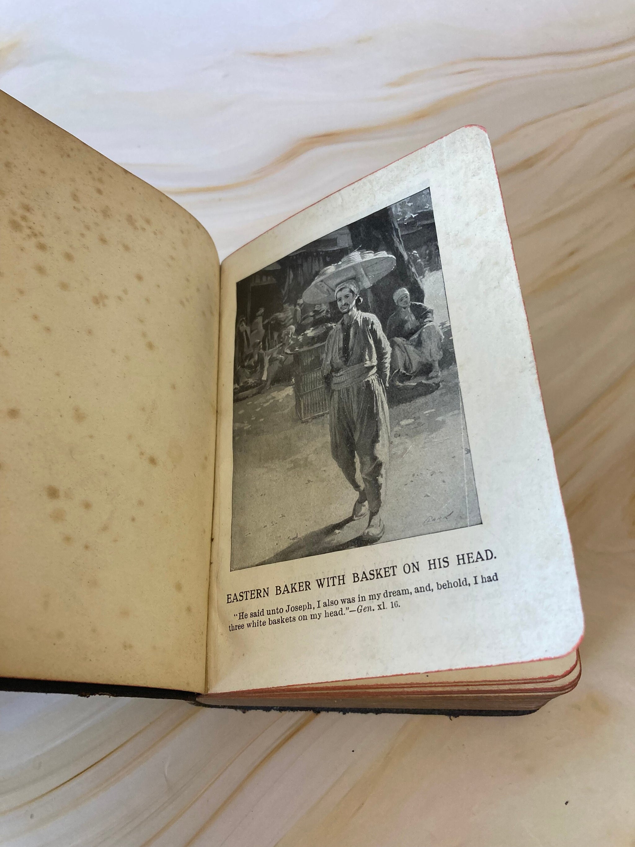 Rare Illustrated Holy Bible 1912 - The Palestine Pictorial Bible - (Re ...